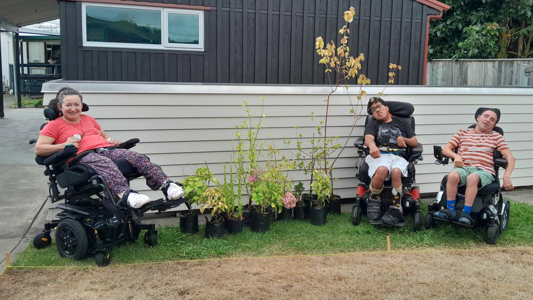 Enliven Disability Sensory Garden - Presbyterian Support East Coast | PSEC