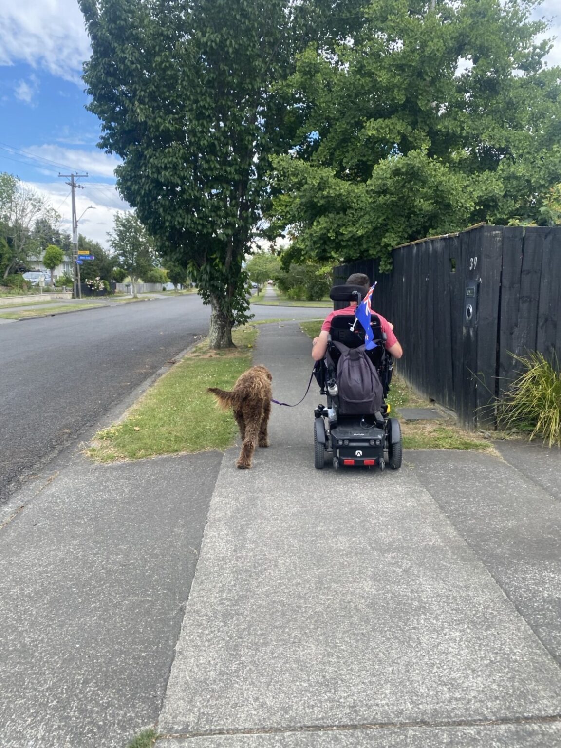 Scarlett the Therapy Dog brings joy to Enliven Disability ...