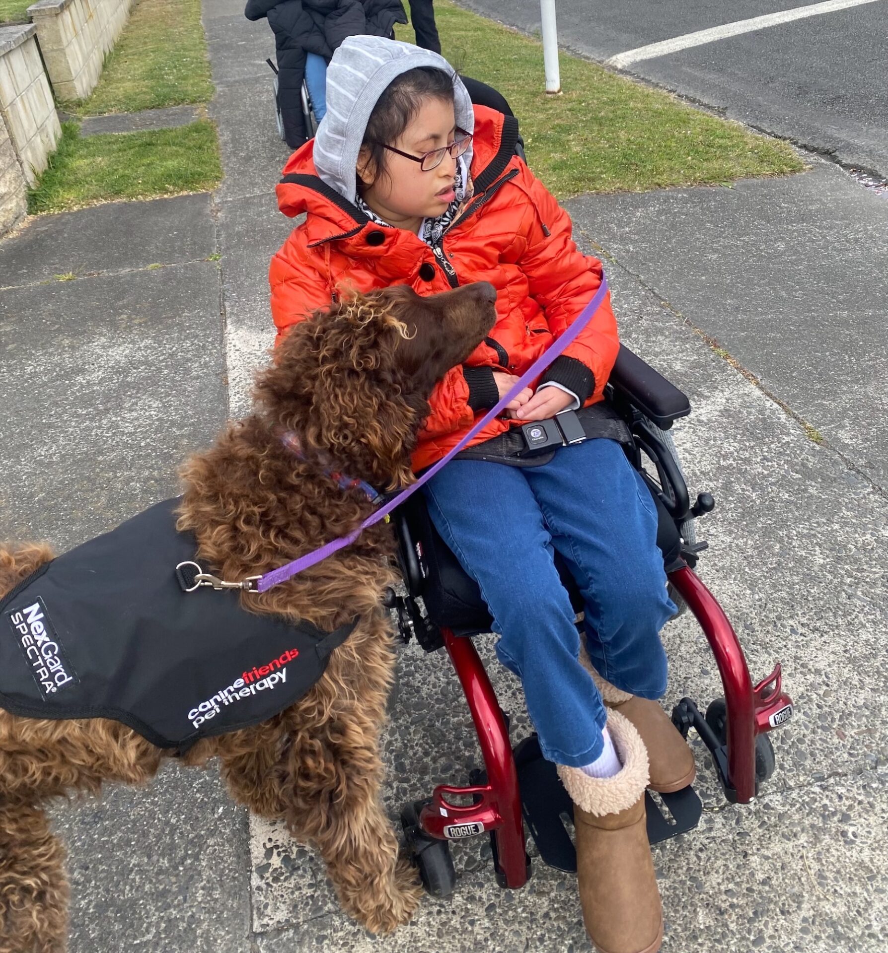 Scarlett the Therapy Dog brings joy to Enliven Disability ...